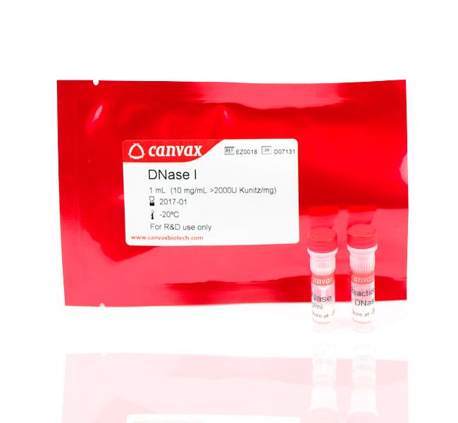 Canvax DNase I, 10 mg/mL | LabMart Limited