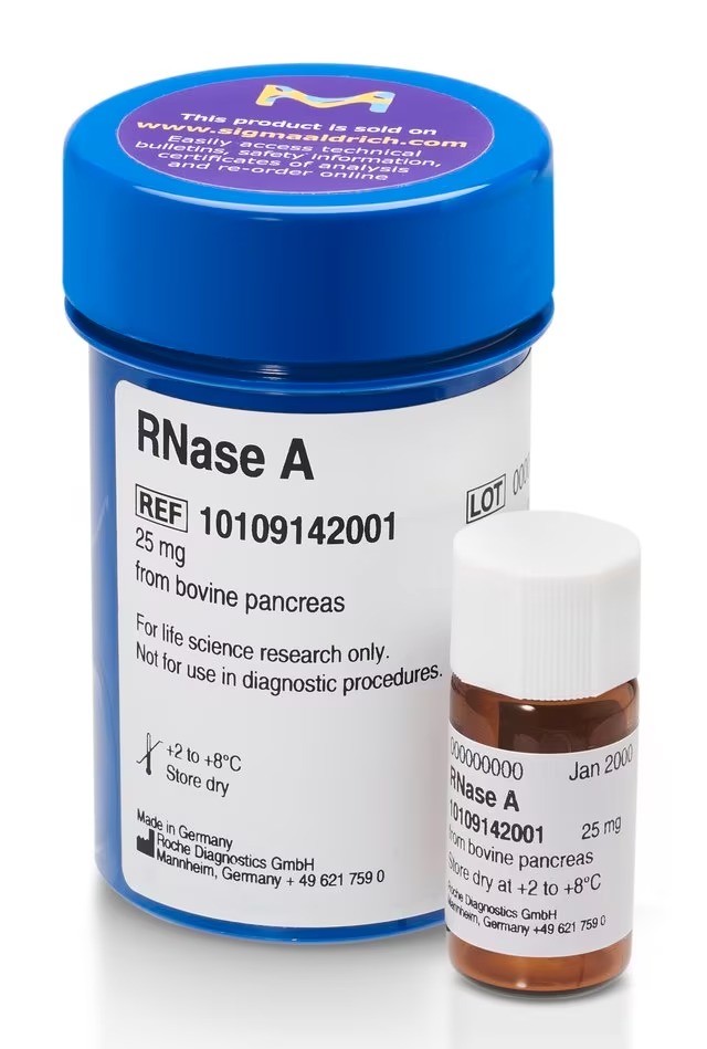 Roche RNase A from bovine pancreas, lyophilizate, powder | LabMart Limited