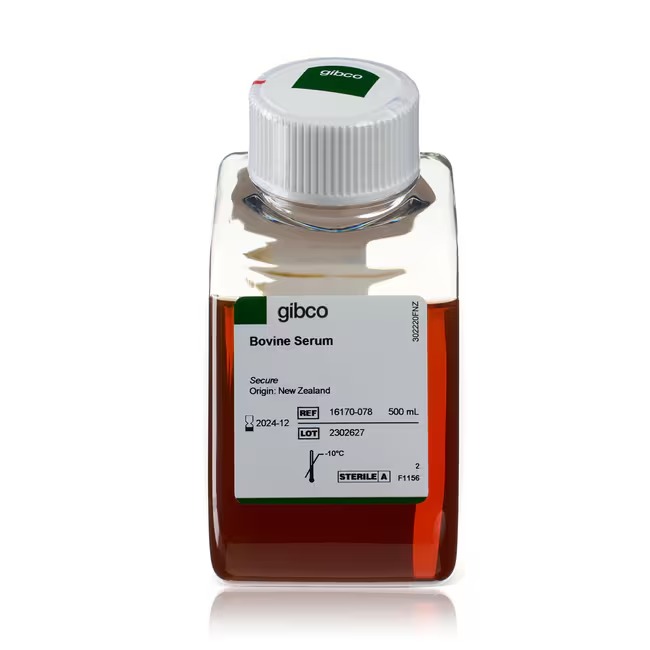 Gibco™ Bovine Serum, New Zealand origin, Sterile-filtered | LabMart Limited