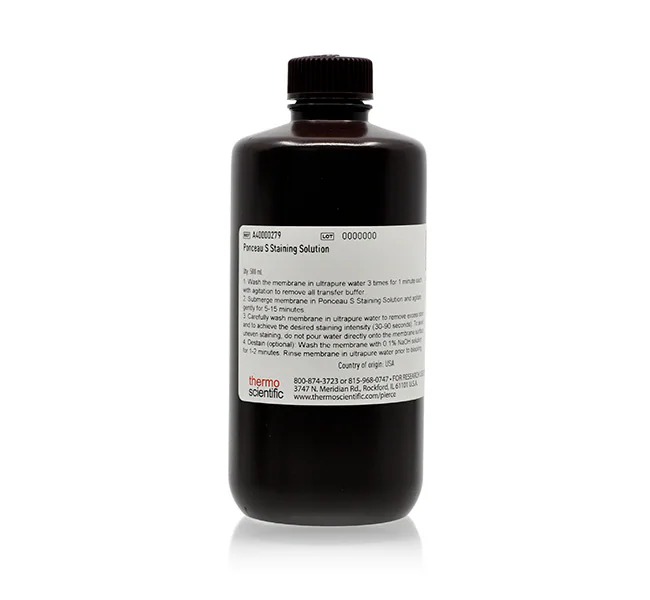 Thermo Scientific™ Ponceau S Staining Solution | LabMart Limited