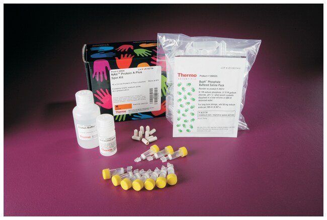 Thermo Scientific™ NAb™ Protein A Plus Spin Kit, 1 mL (2 Column Kit ...