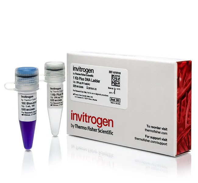 Invitrogen™ 1 Kb Plus DNA Ladder with 10X BlueJuice Gel Loading Buffer ...